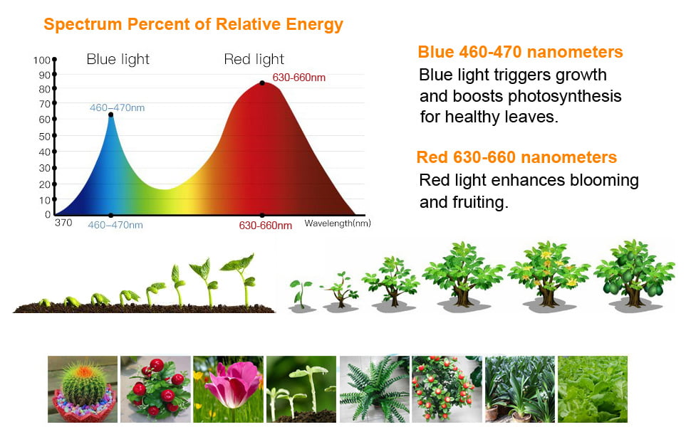 LED plant grow lights can adjust the taste of plant and growth