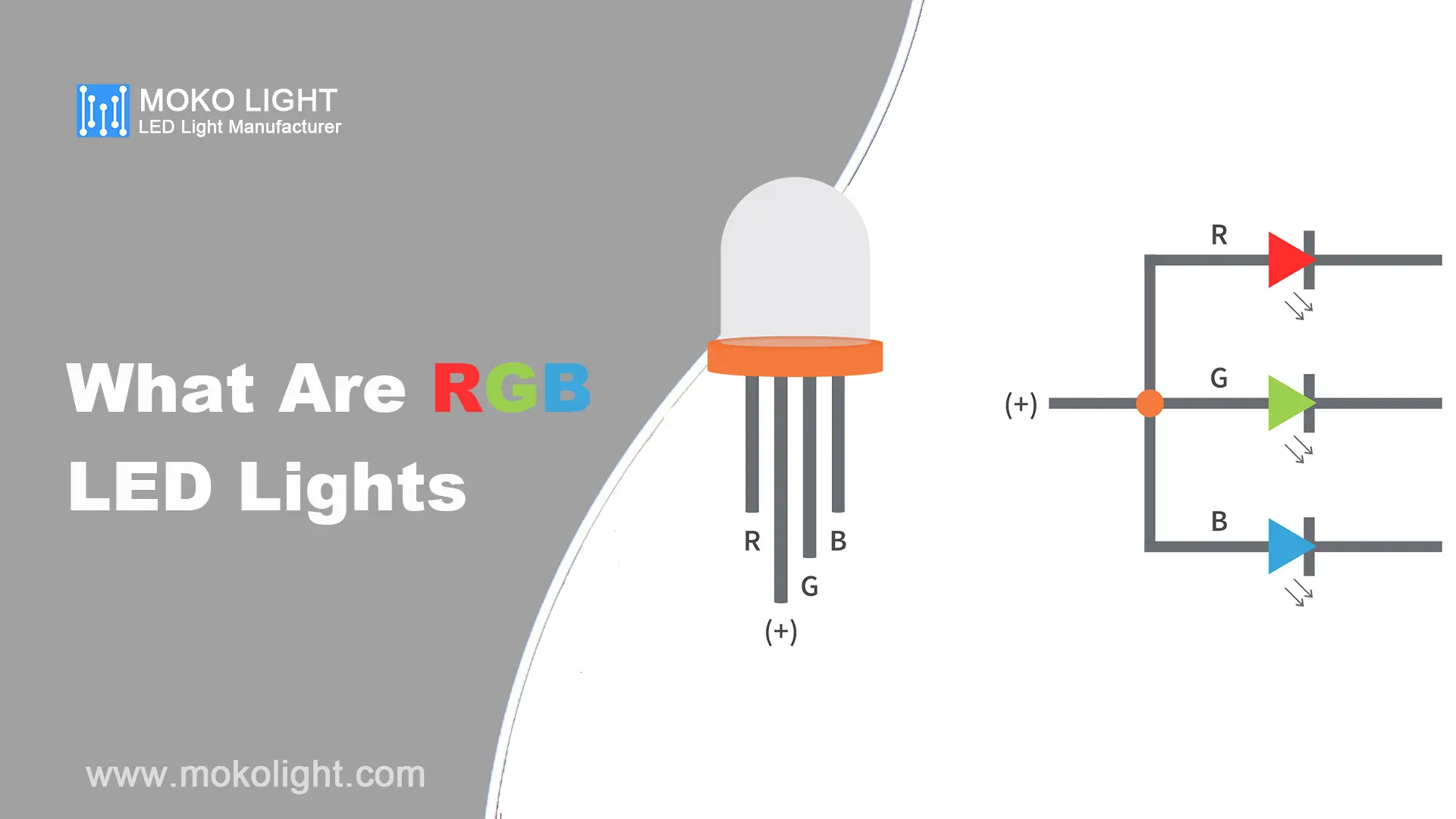 What Are RGB LED Lights - MOKOLIGHT: RGB LED Manufacturer